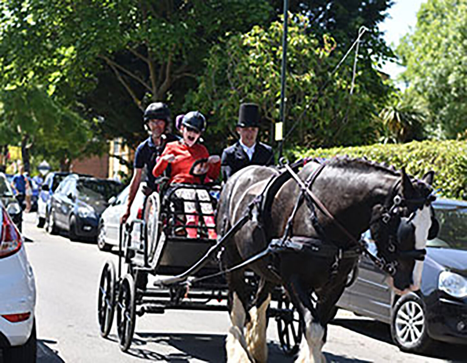Royal recognition for Park Lane Stables - : H&L Motors