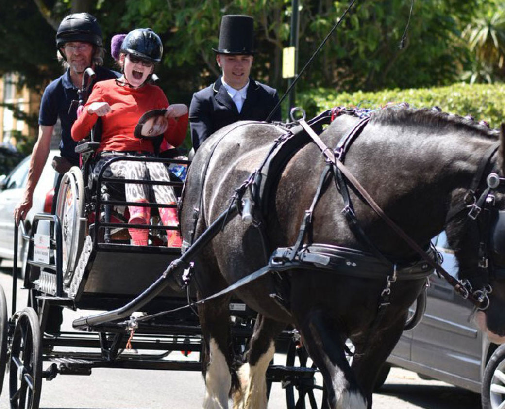 Park Lane Stables - H&L Motors : H&L Motors